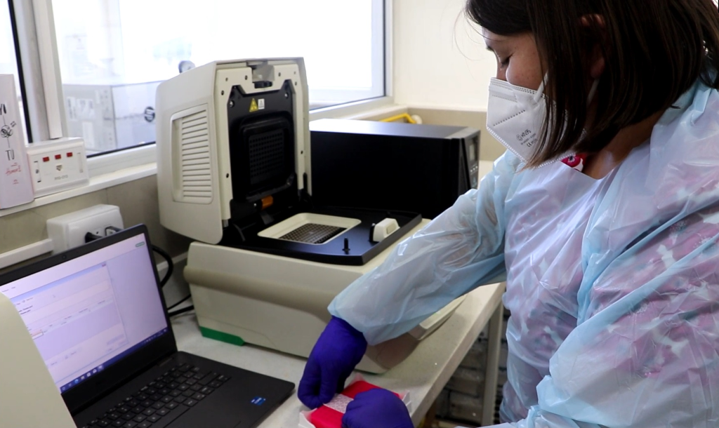 Hospital de Tomé aumentó su capacidad para procesar exámenes de PCR ...