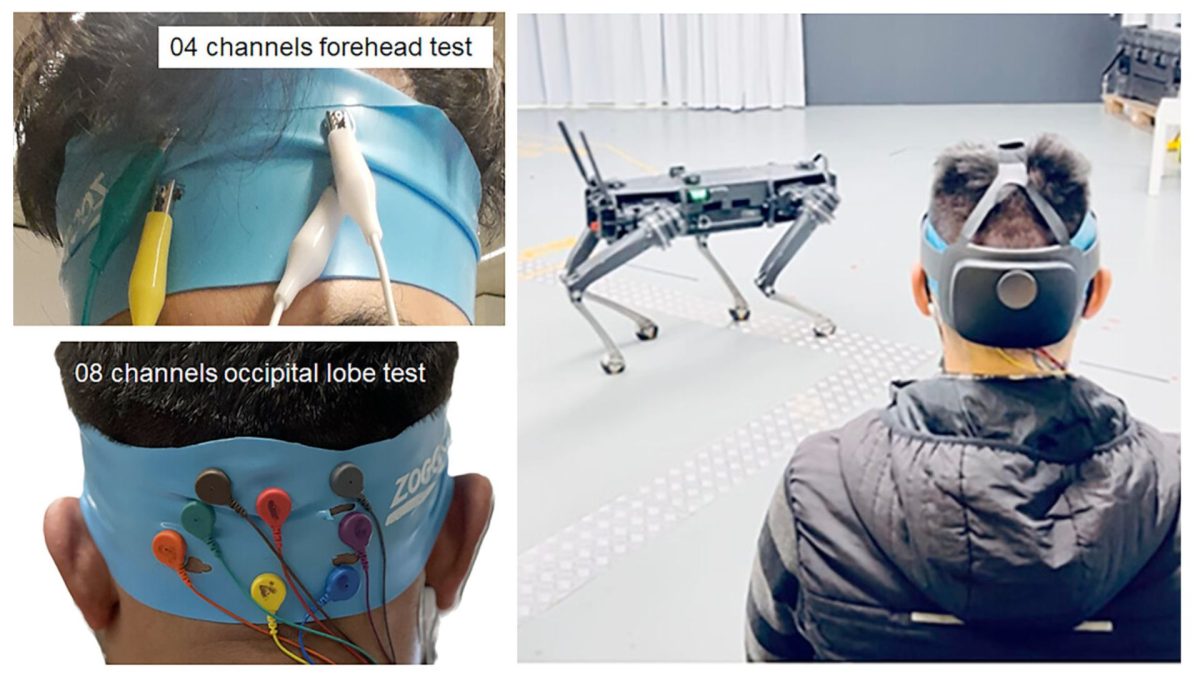 Investigadores desarrollaron nuevos sensores para controlar robots con ...