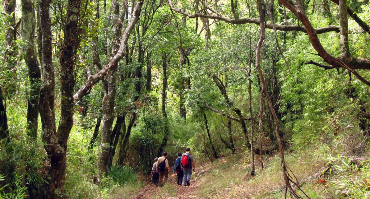 Biobío cuenta con hoja de ruta hacia la carbono neutralidad a 2050 ...
