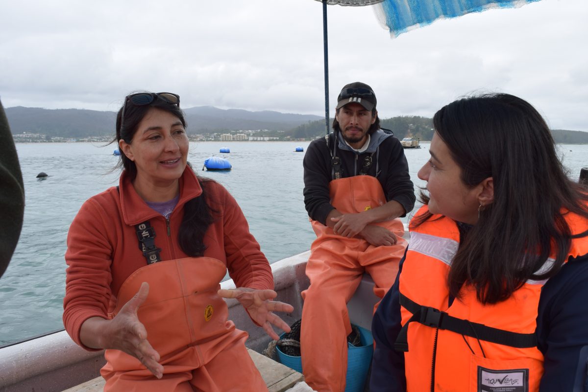 Sembradora del mar: Acuicultora de Coliumo es reconocida por su labor ...