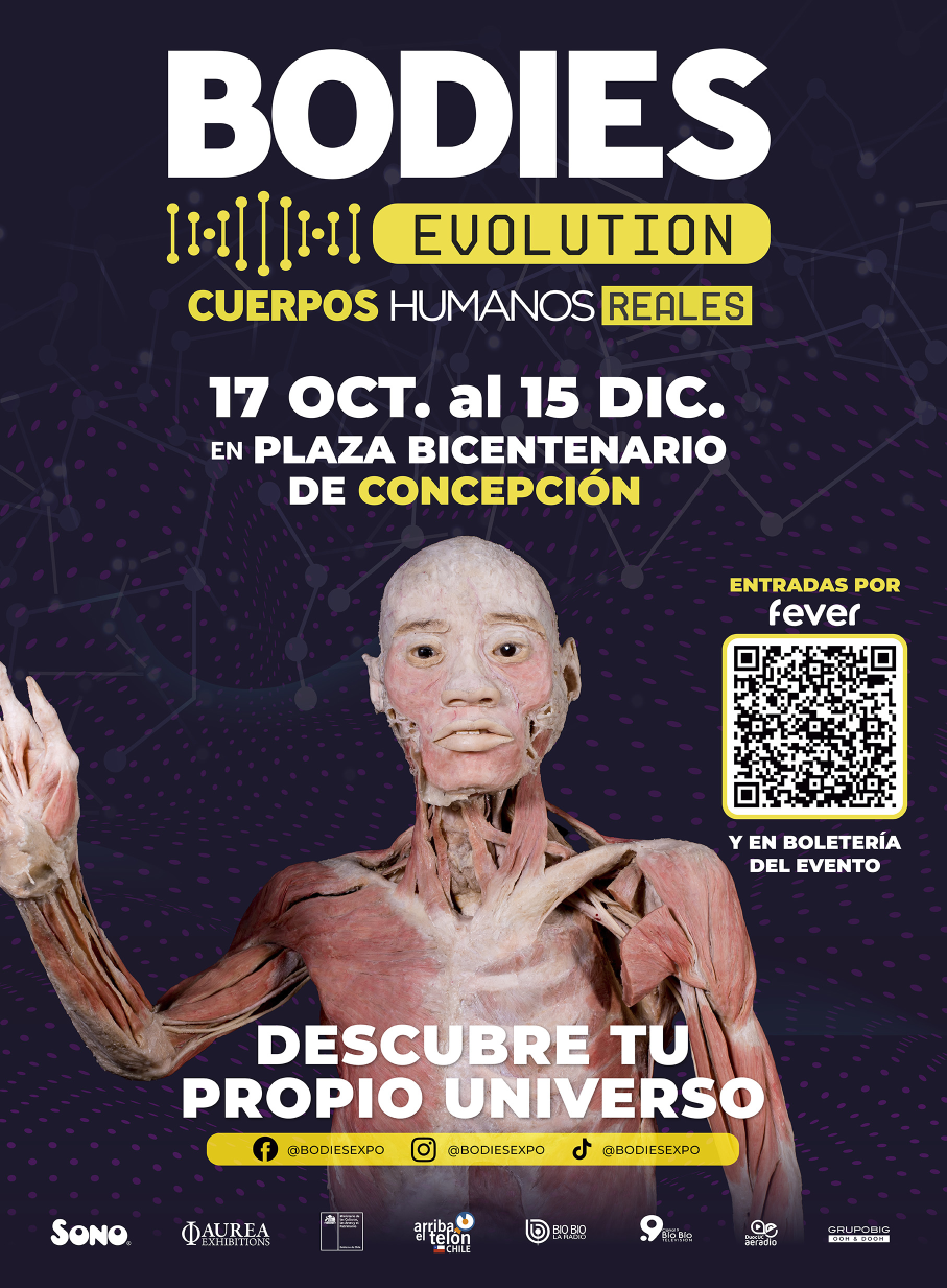 Bodies Evolution regresa para maravillar al público penquista con el ...